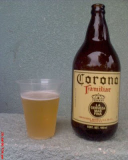 Endangered species, la caguama…