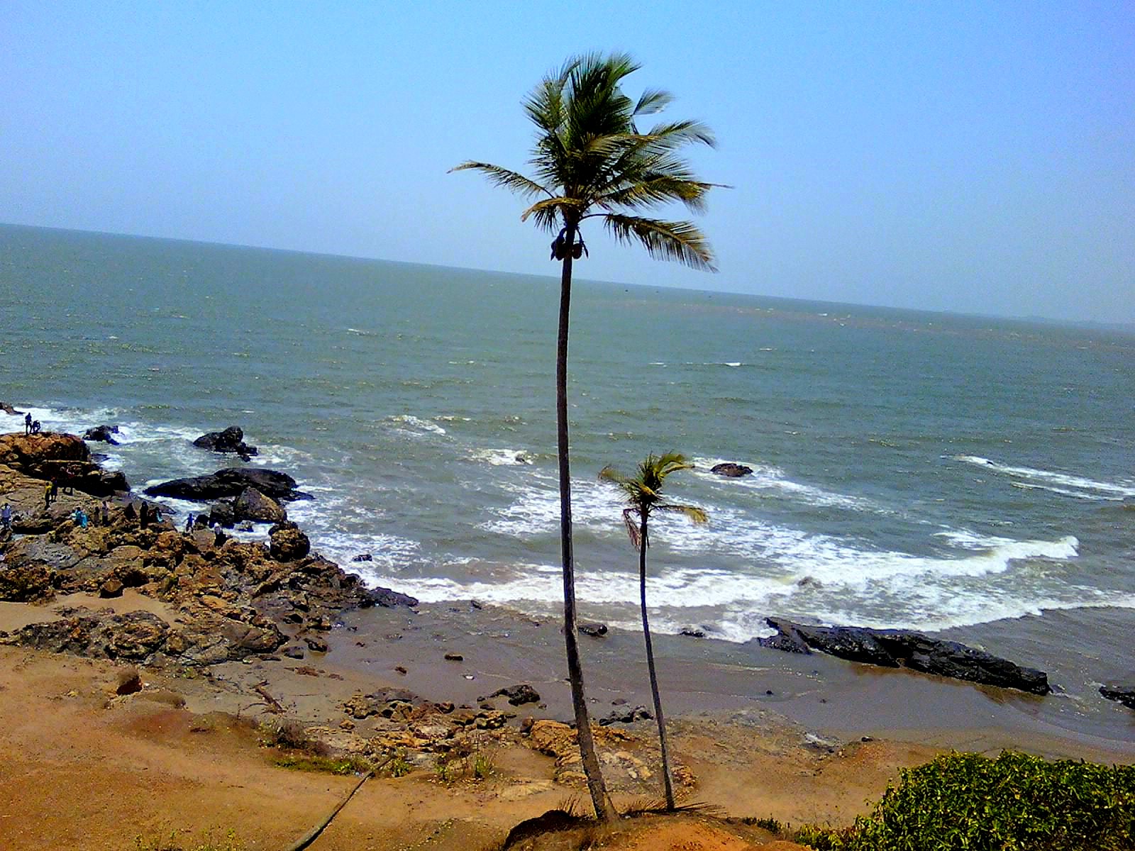 My life Nature Photography: Magnifiscent Goa