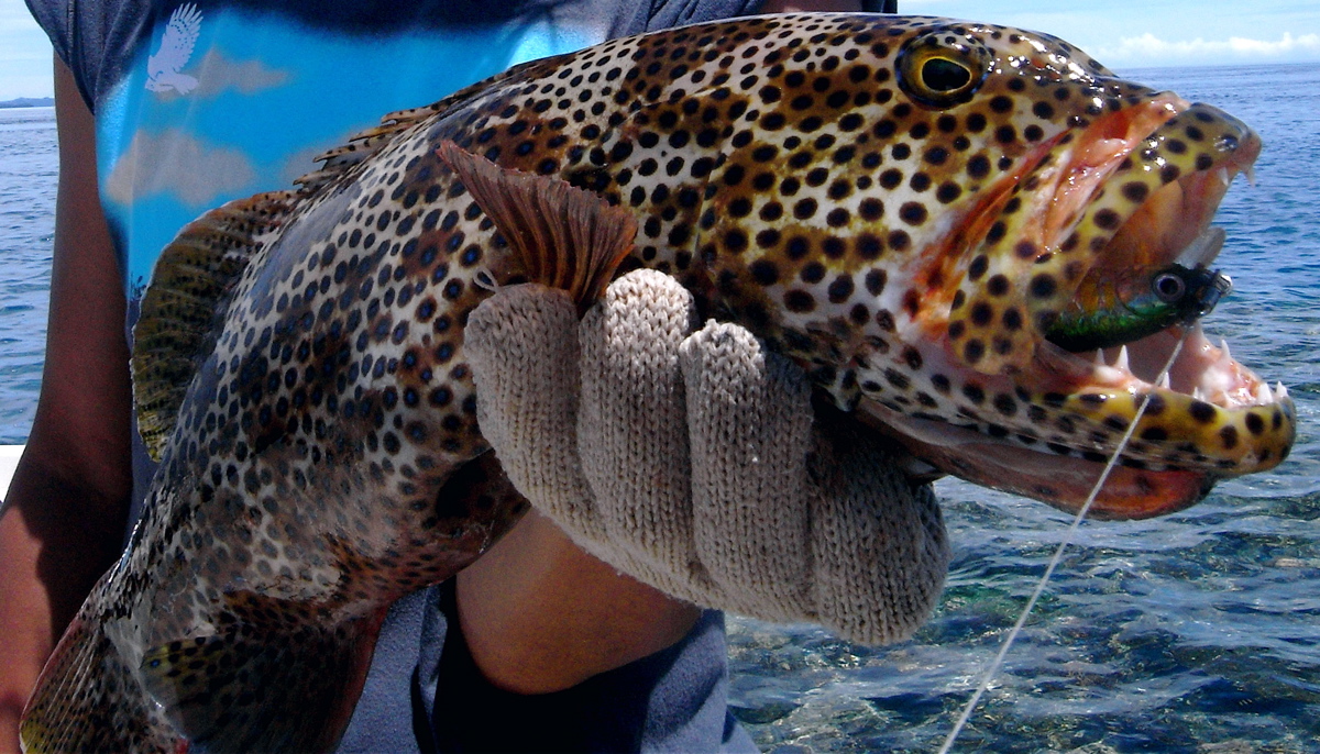 TopWaterGame: Fishing in Palau