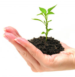 viva o que você é: mecanismos da prosperidade