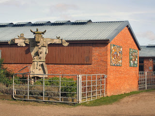 Photographs Of Newcastle: Bill Quay Community Farm