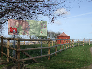 Photographs Of Newcastle: Bill Quay Community Farm