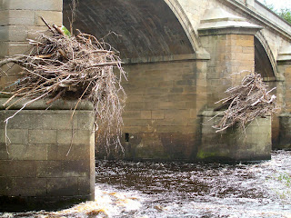 Photographs Of Newcastle: Bywell