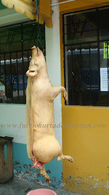 Dyfulvio: Cerdo colgado, fritada Manaba, Ecuador