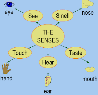 Nicole's Blog: Exploring Concept Mapping with Kidspiration: