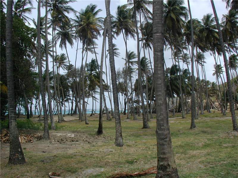 Agri-Ecotourism Destinations: Burabod Farm Resort