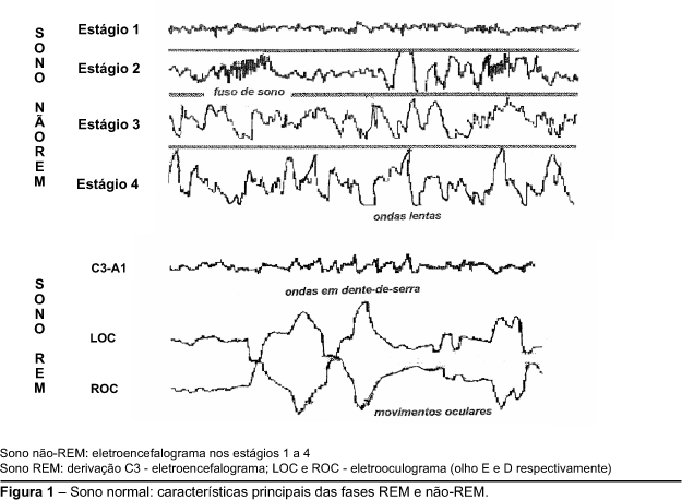 Sonhos do Neuro: Dormir, sonhar e lembrar: Parte 01 Sono