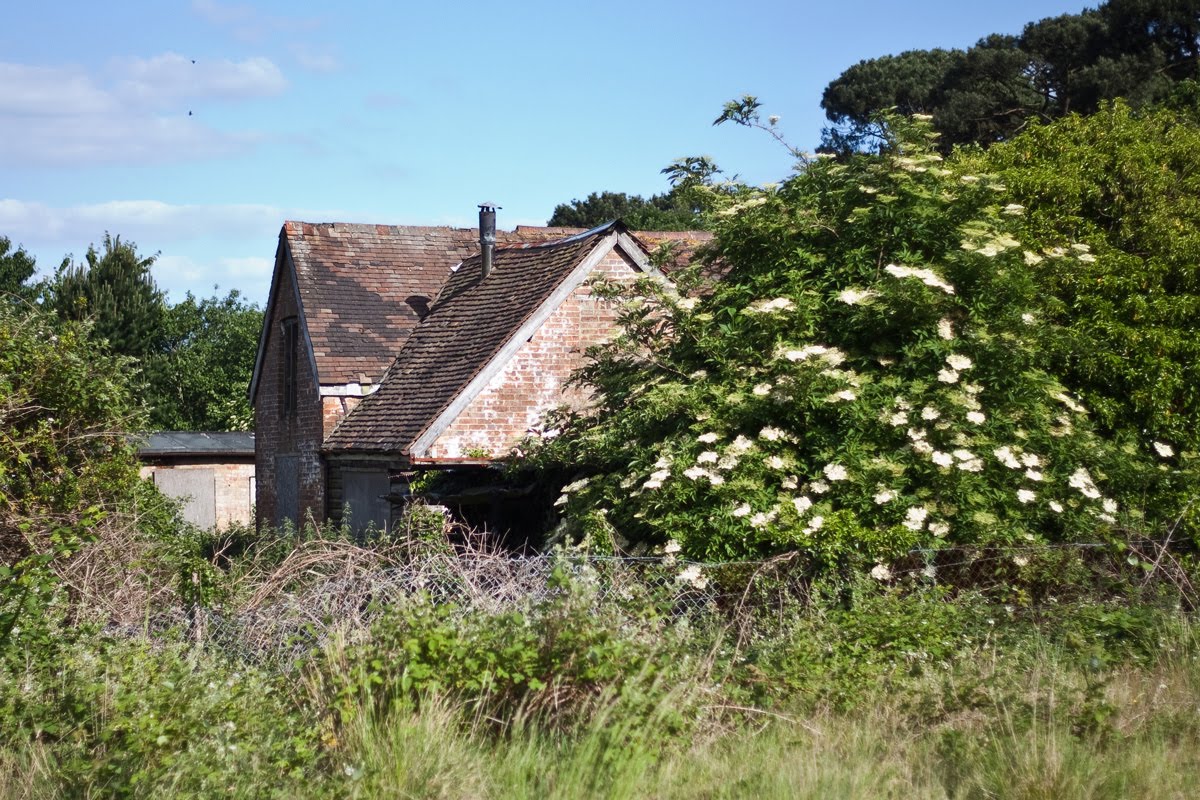 Eye on Talbot Village: White Farm - Whats Happening?