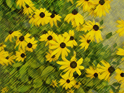 Rachel Clark Designs for Digital Scrapbooking and more!: Filter Friday ...