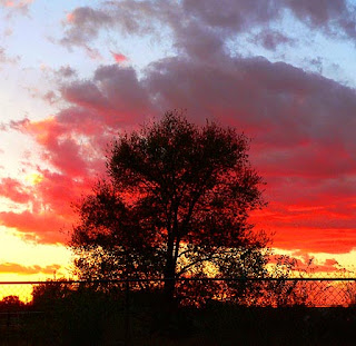 My World: Keeping Albuquerque Beautiful
