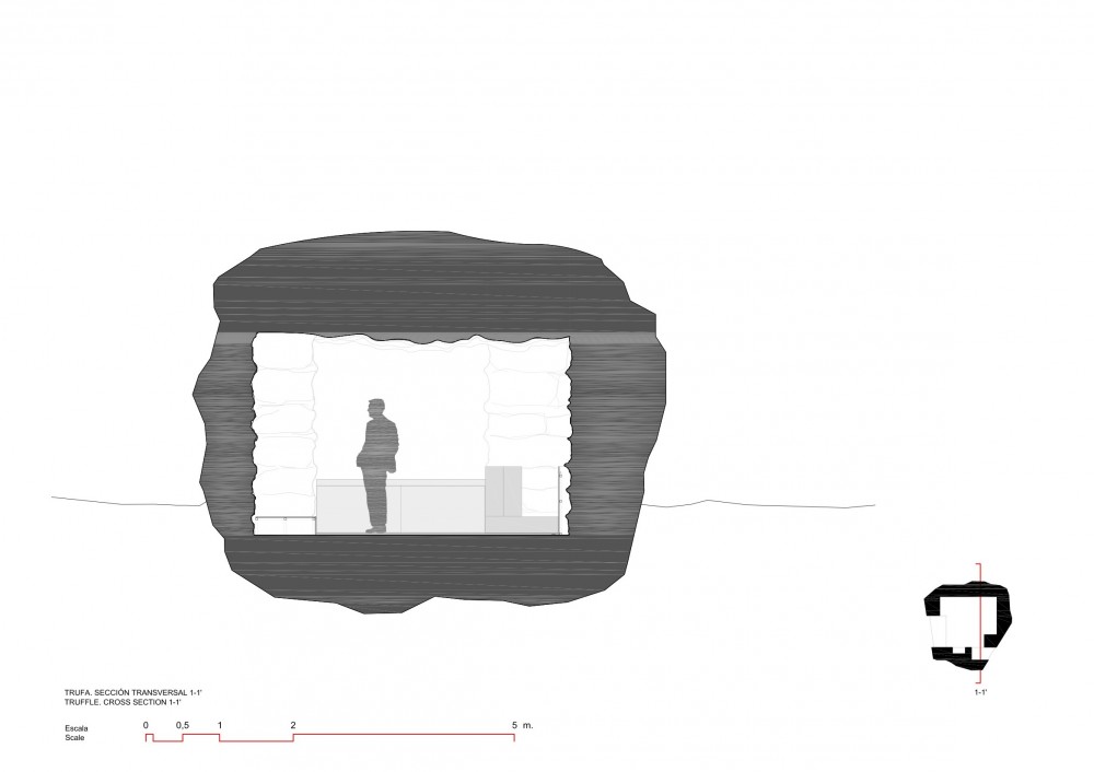 a f a s i a: Ensamble Studio