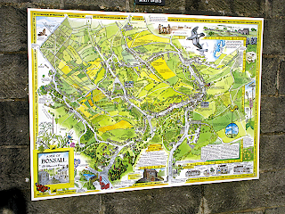 Paul Lydon: January 2010