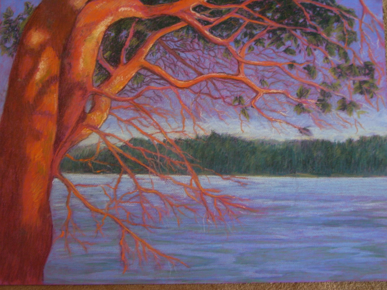 ravensdotter art: Madrona tree, Clark Island