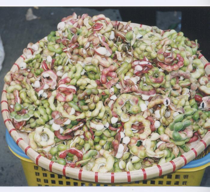 Nakatilaw na ba kag camachile? - Health and Food - Page 1 of 1