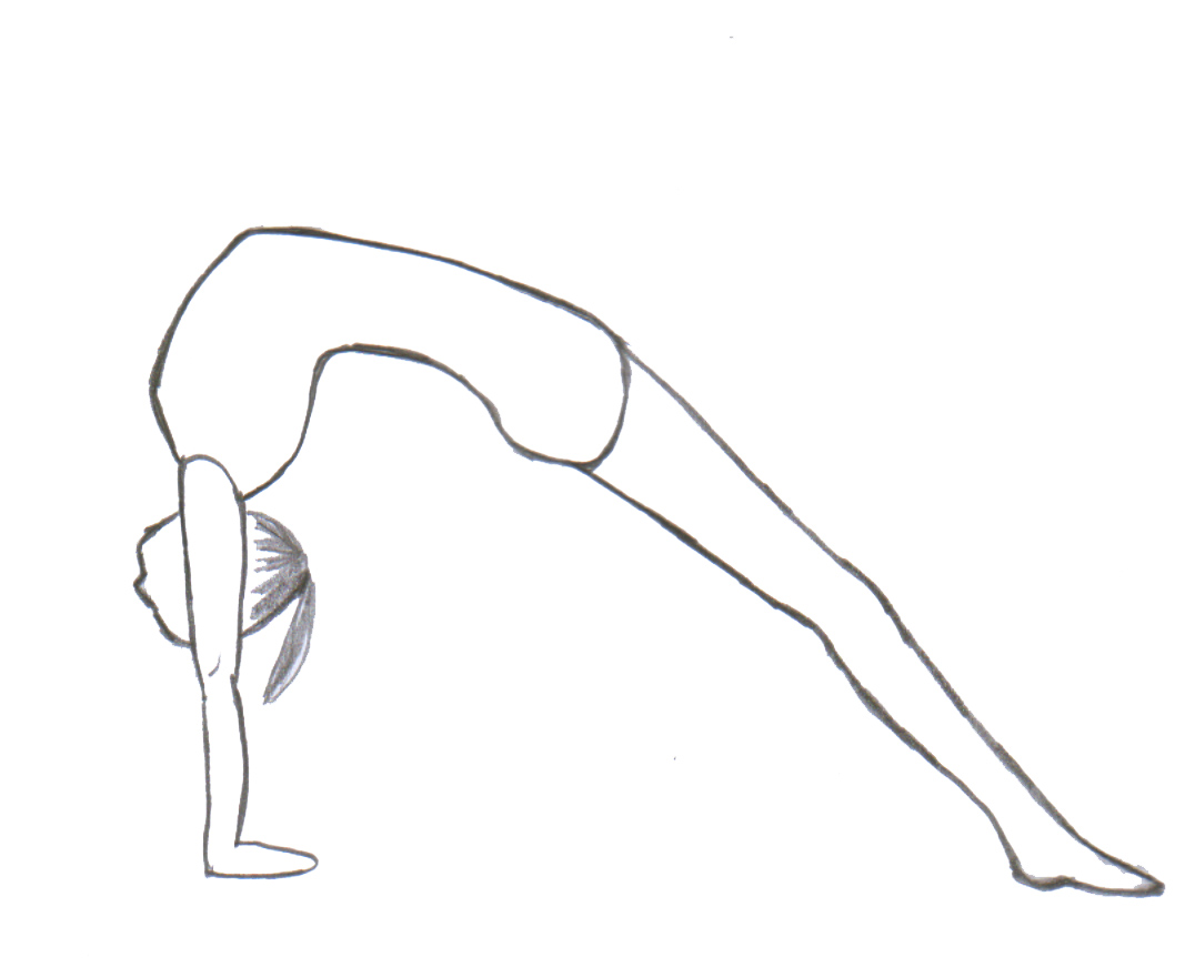 The Dancing Gymnastic Musician: Bridge