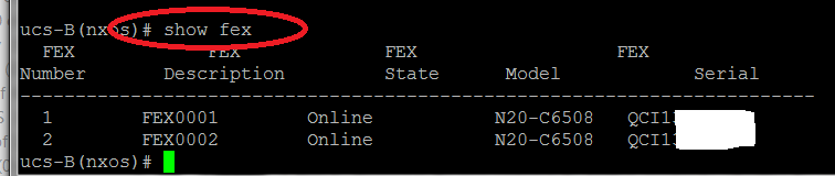AaronDelp.com: Verifying FEX Uplink Pinning in Cisco UCS