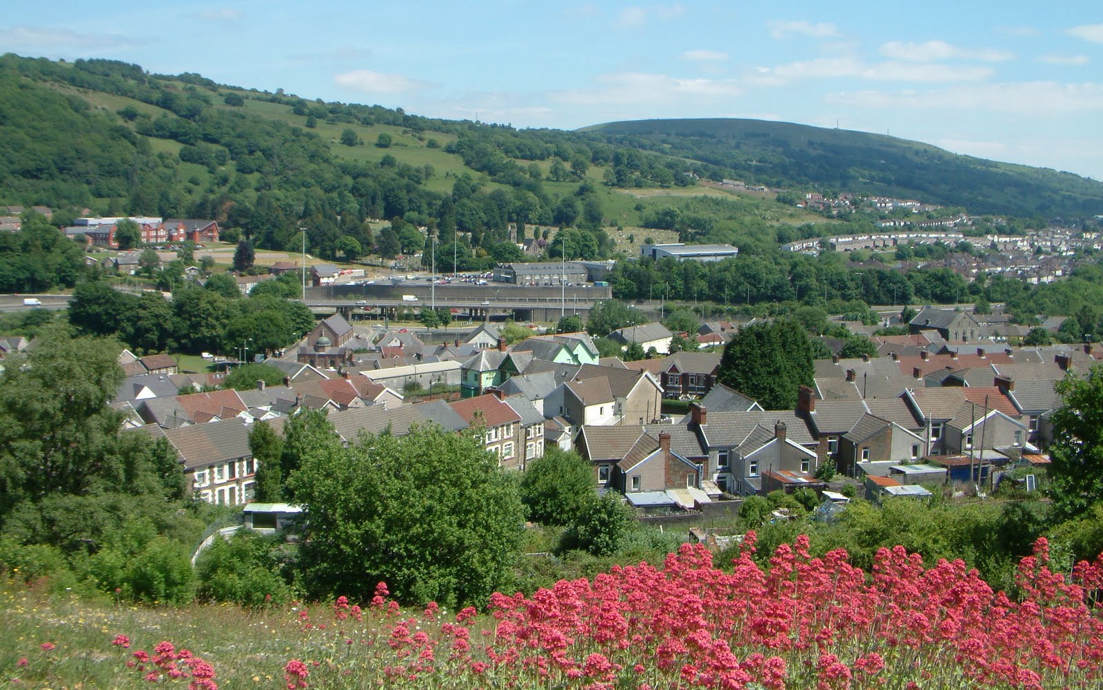 Treforest Village Blog | www.treforest.org.uk