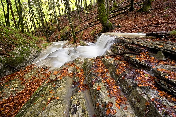 TXIRINTXIABENTURAZALEAK