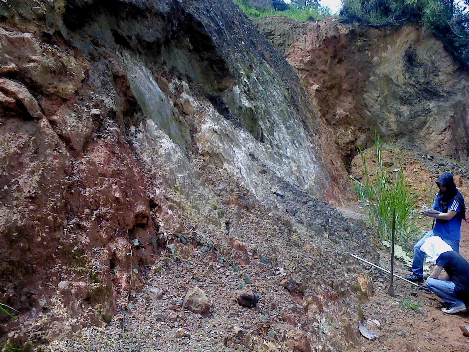 Suelo de Caldas: UBICACION Y DESCRIPCION TALUD