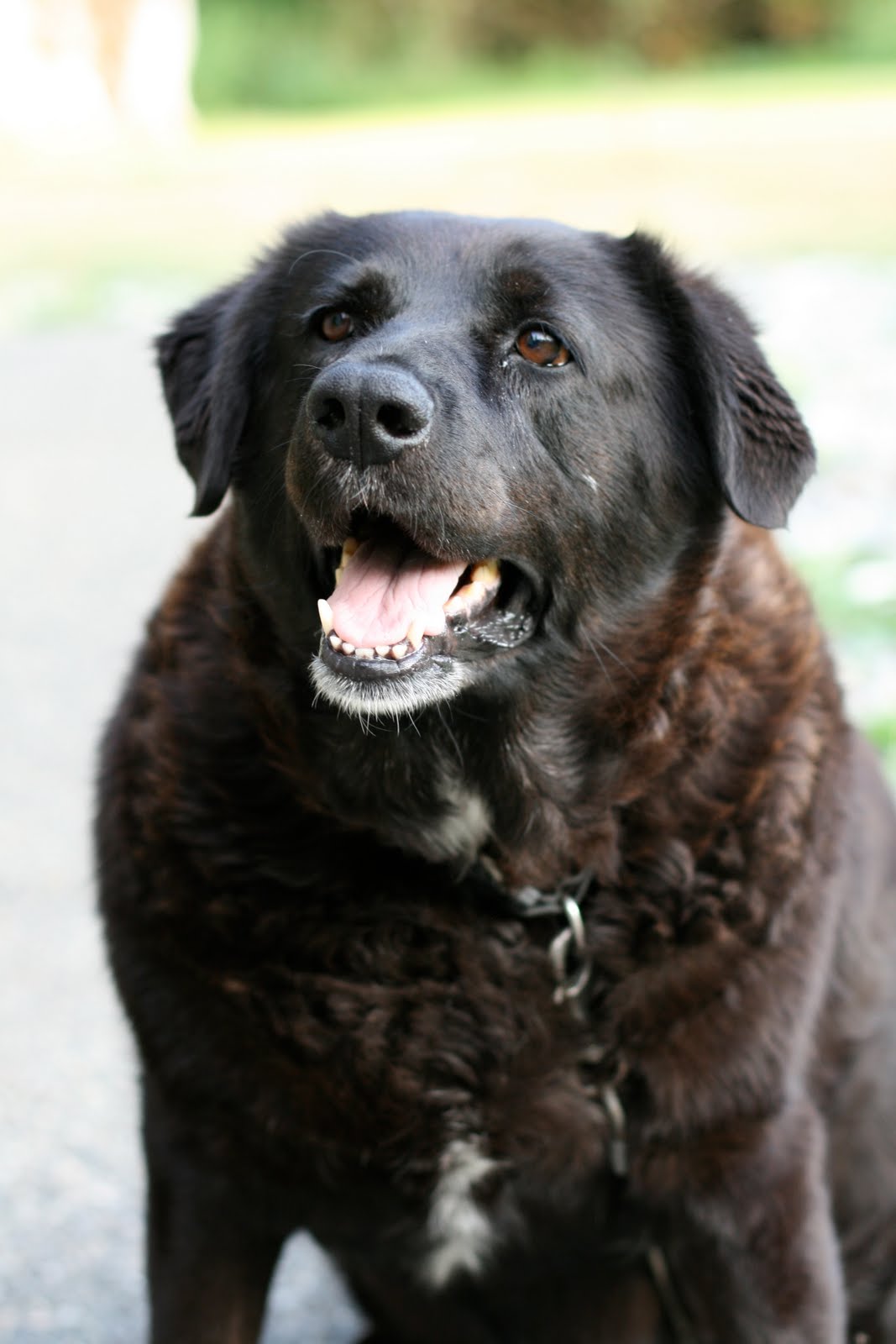 Sonia Wetzel Photography