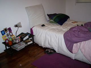 ESTOS SON MIS PIENSOS: Pienso 51 Vendo mi cama destendida, TV plasma ...