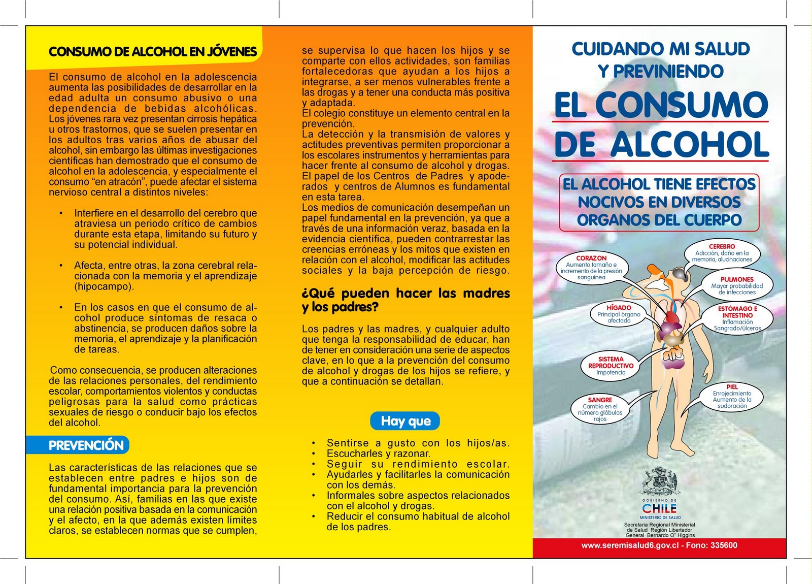 Senda Previene Pichidegua: CUIDANDO MI SALUD Y PREVINIENDO EL CONSUMO ...