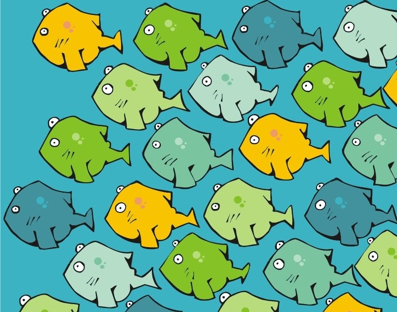 Elissambura Ilustraciones: otro cuadrito : Cardumen