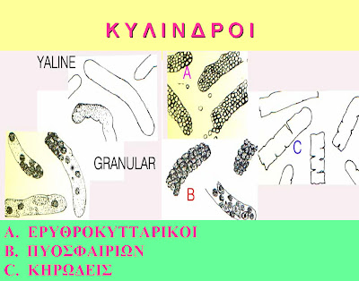 ΜΙΚΡΟΒΙΟ: ΓΕΝΙΚΗ ΟΥΡΩΝ