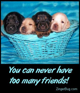 Friendship Greetings: Friendship Puppy Cards, Puppies for Friends