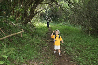 Blunoz Random Ramblings: Waimano Valley Hike