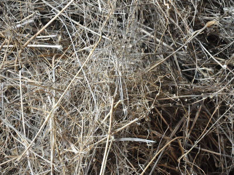 La Casa en Paille: L'isolation de la toiture, suite