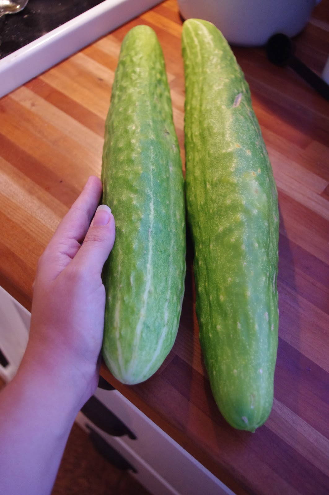 between cottage and cabin: Cool Cucumbers