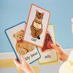 Trendy Taylor: Touch N' Feel Flash Cards