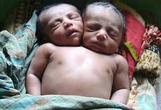 Fresh-apples: October 2010