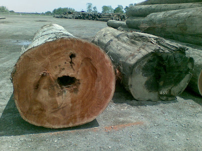 WOOD: RED BALAU / MERANTI BATU / MANGRIS WOOD