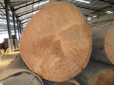 WOOD: Bangkirai / Balau / Selangan Batu ( Shorea Spp )