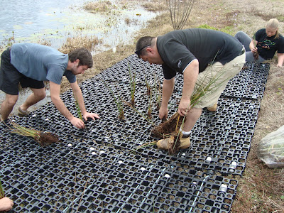 Florida Floating Wetlands - Managed Aquatic Plant Systems: Floating ...