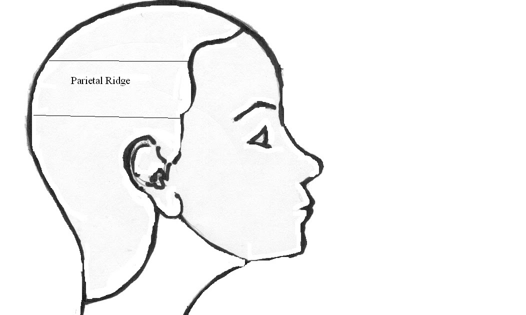 Learning haircutting: Transitioning side to top in men's haircuts