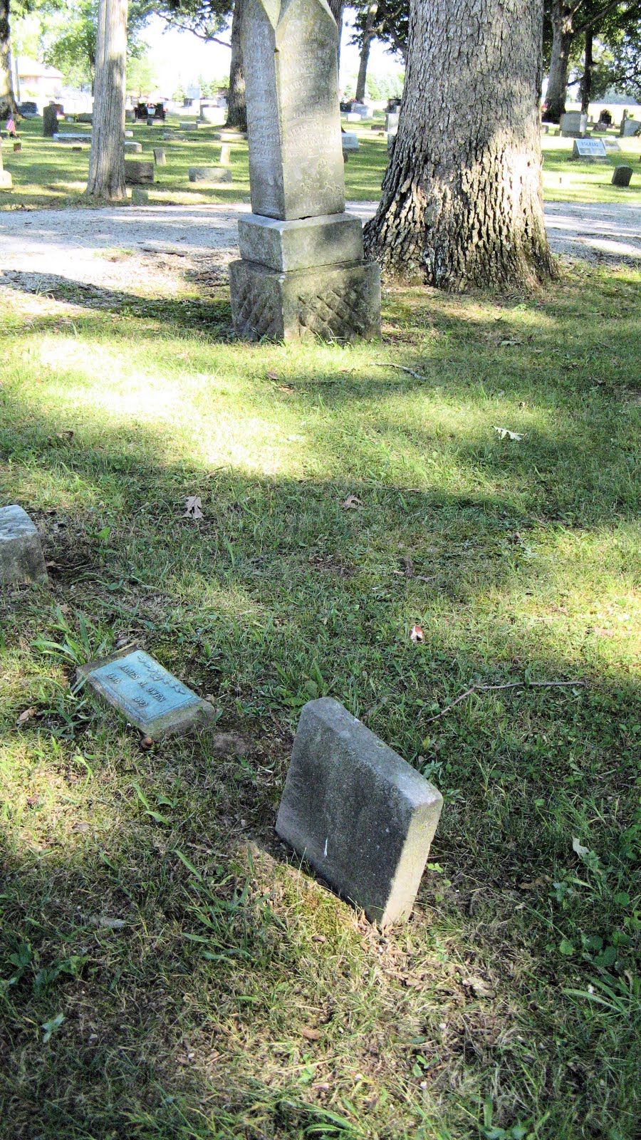 Who We Were, Are & Will Be Our Family: 2010