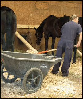 Quilt Patterns by Jean Boyd: The RCMP Musical Ride Comes to Brockville
