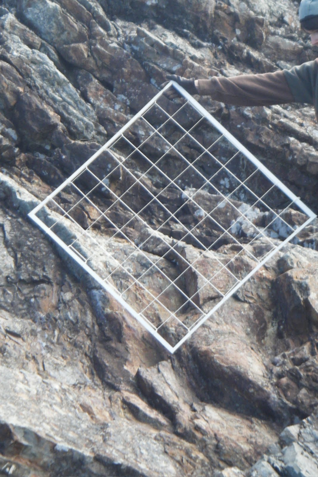 *: GRIDDING DOWN: A wood frame and string grid is used to survey rock ...
