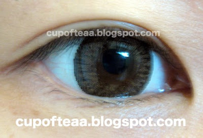 Cup of Teaa!: Geo Lens Review: Fresh Brown, Honey Wing, Geo Tri Color Brown