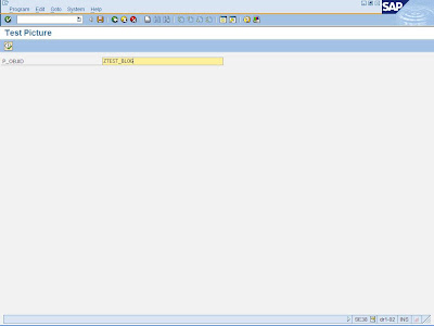 ABAPx.in: How to display a picture in a SAP screen
