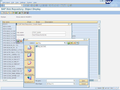 ABAPx.in: How to display a picture in a SAP screen