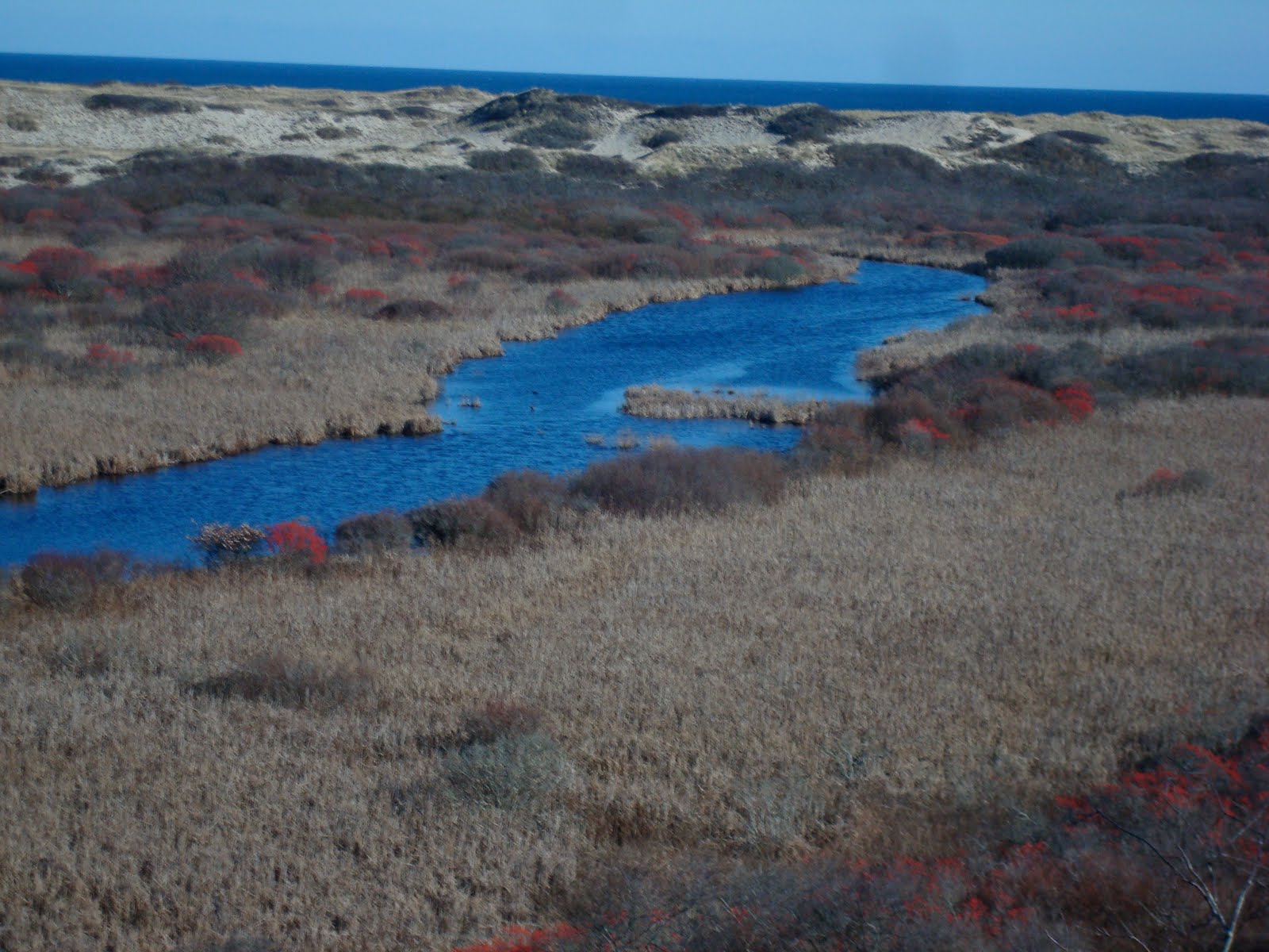 Literary Crushes/Grave Matters: Blue Sky, Blue Marsh, Blue Atlantic
