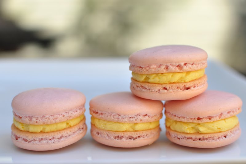 Lisa is Bossy: Macaron Passion