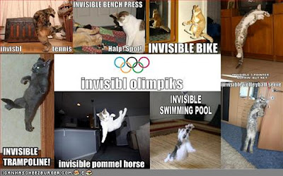 Daily LOLcat: Invisible LOLcats!
