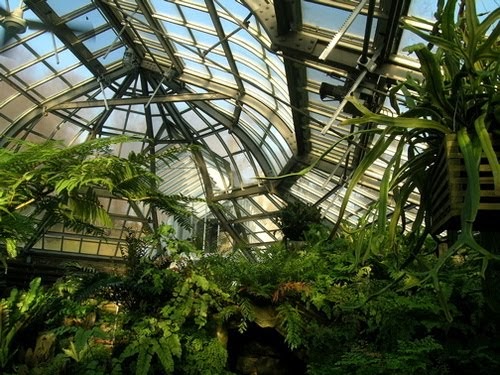 The Fern and Mossery: Morris Arboretum's Fernery