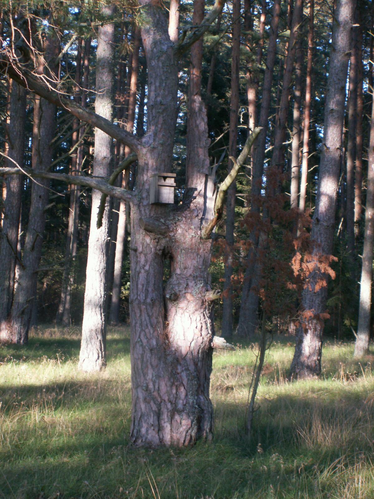 Ceļošana LV: Engures ezera dabas parks