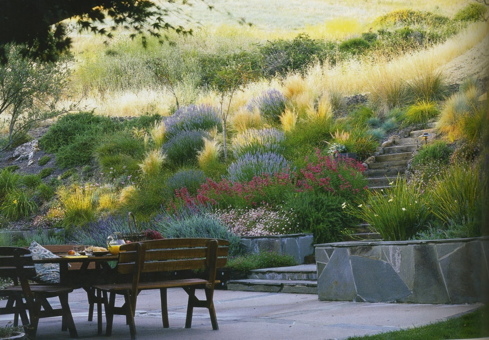 hillside landscaping on Pinterest | Landscaping, Hillside Garden and ...